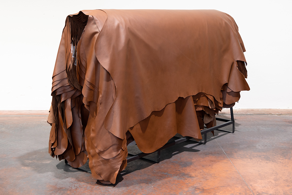 Maxpell – Collections